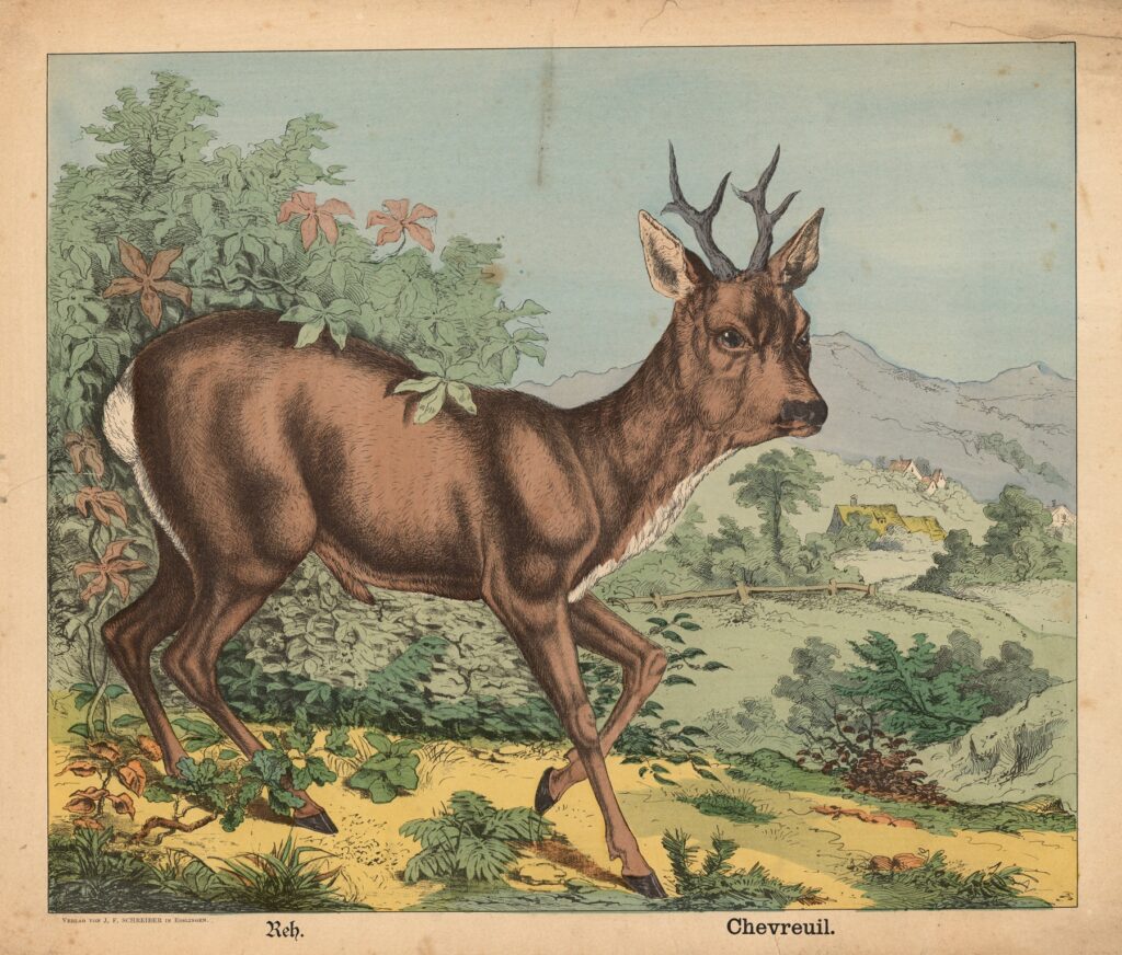 CPH Focus: Communication : Principles of Social Marketing - Broadly Epi