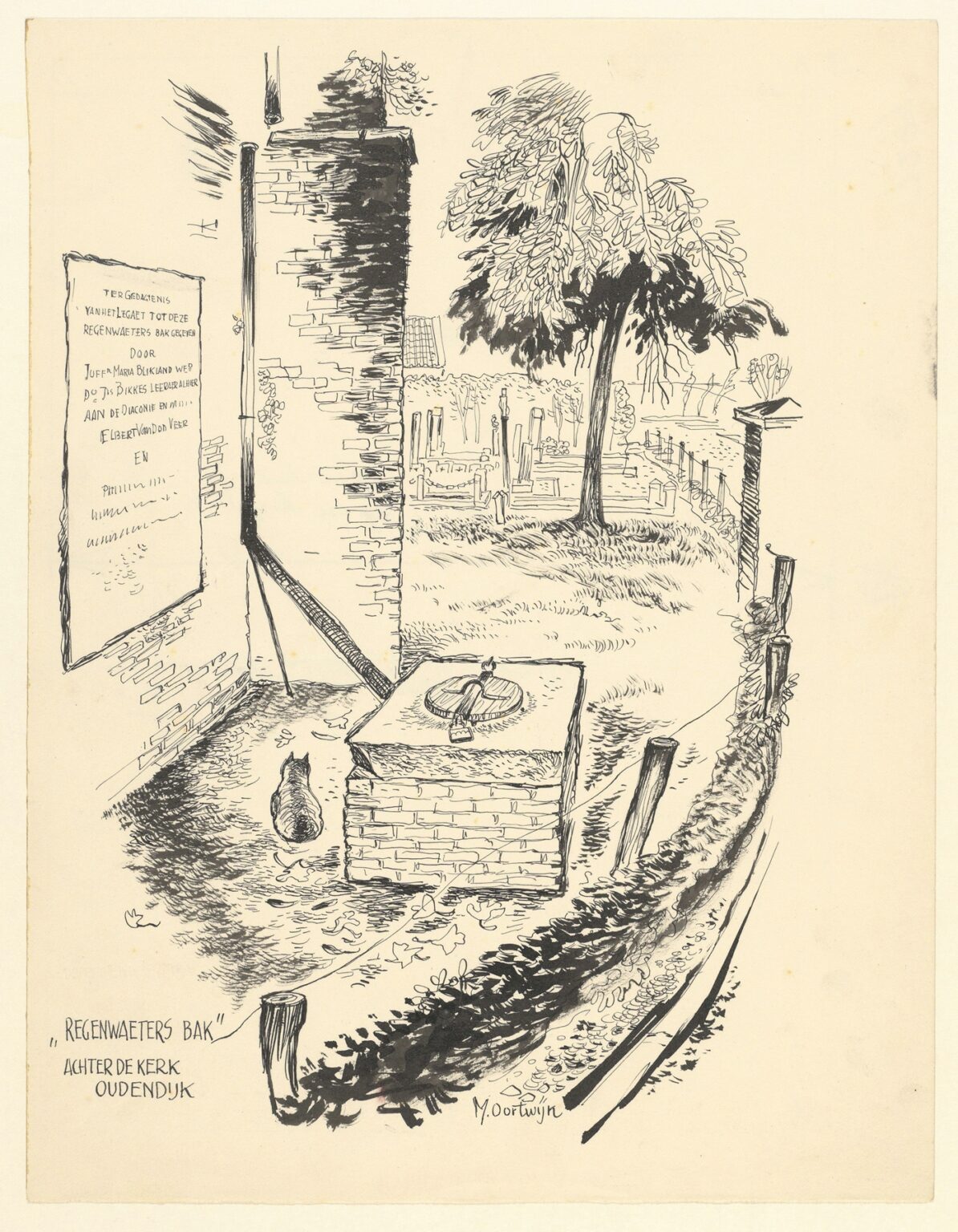 Epi Explained: Understanding Health Indicators - Broadly Epi